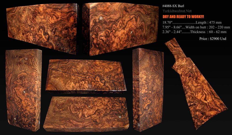 TurkishWalnut.Net Gun stock blanks - Shotgun Blanks - Exhibition Grade ...